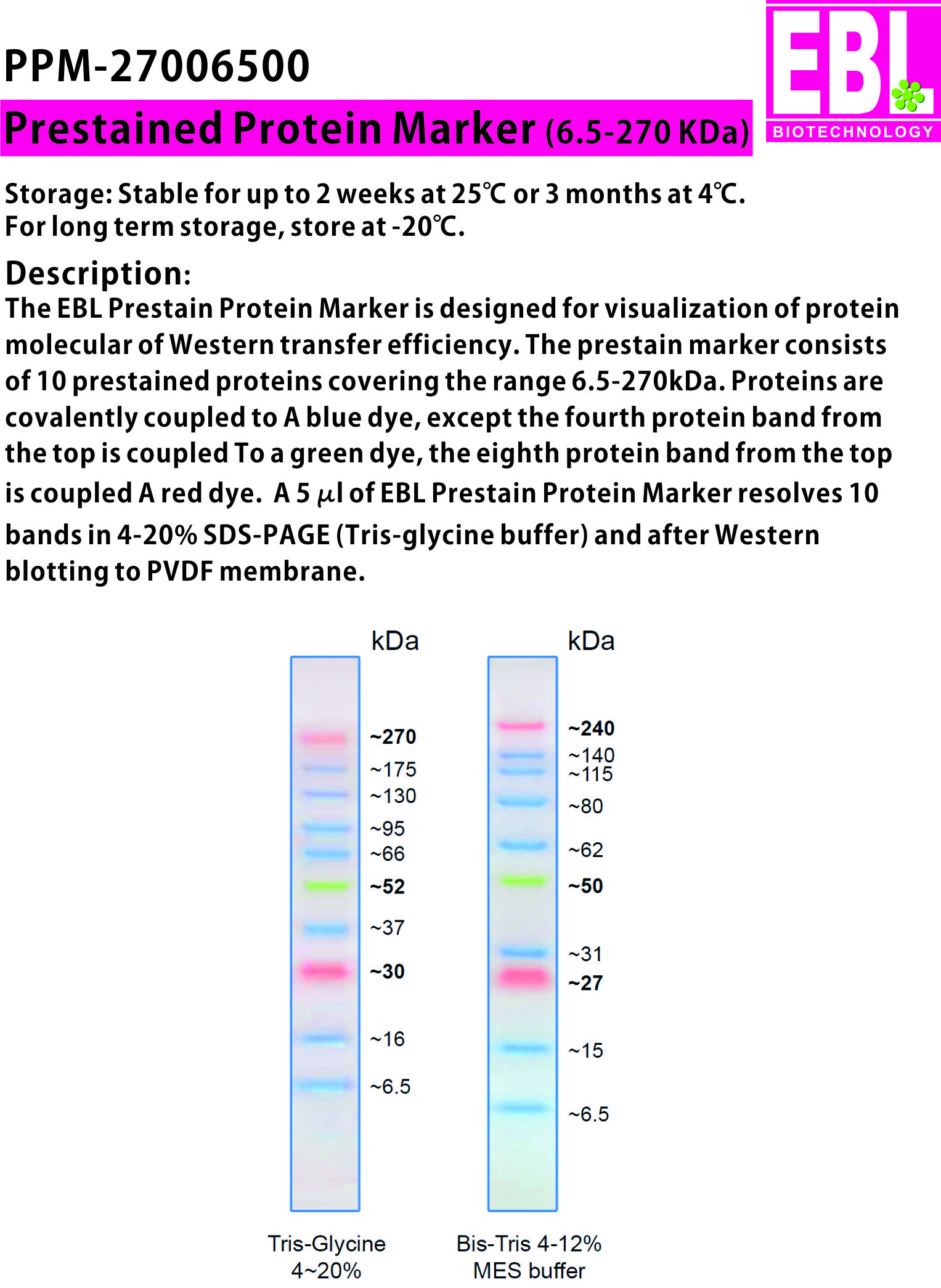 Prestained Protein Marker - 揚積生物科技有限公司